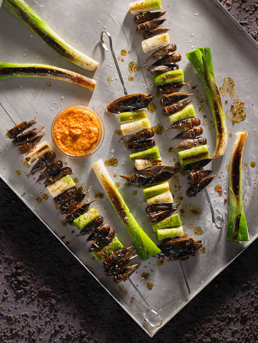 Insectos: el alimento del futuro - Hausmann Gastronomic